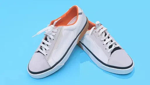 Image to Vector Conversion Services Online